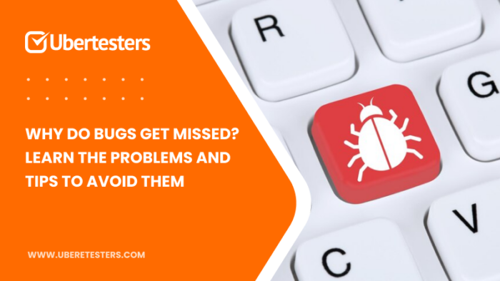 Learn The Problems and Tips to Avoid Bugs